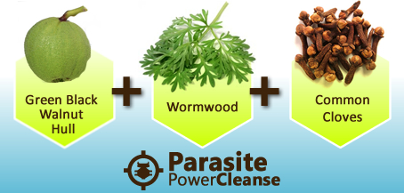 Best Natural Human Parasite Cleanse | Candida Cure Center