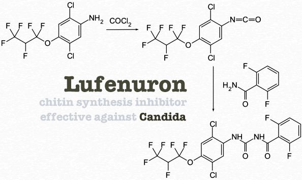 Lufenuron Treatment For Candida | Lufenuron for Humans