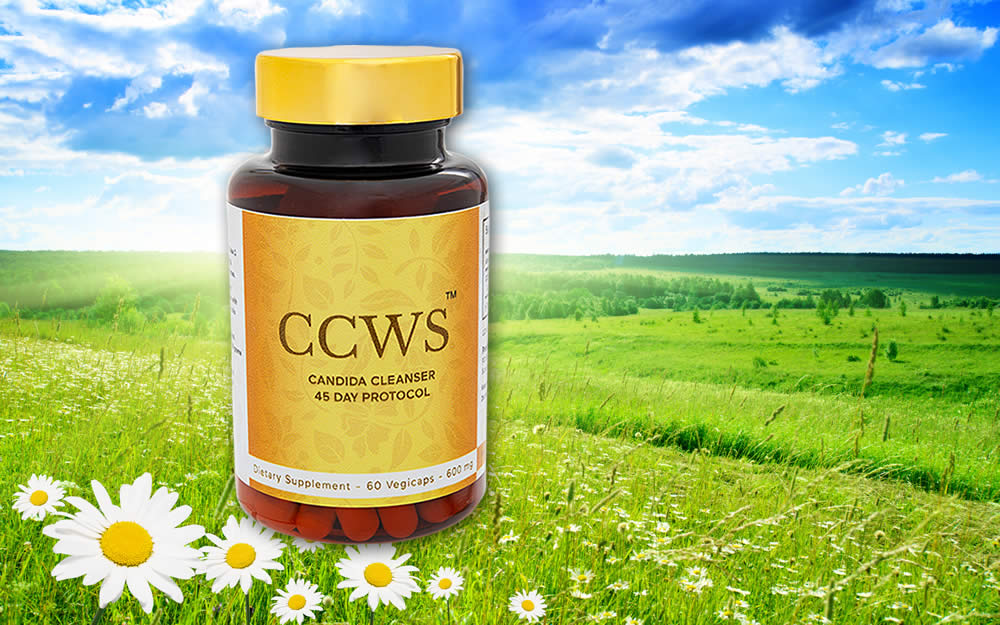ccws candida cleanser best candida cure product – Candida Cure Center