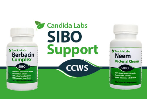 SIBO Treatment Protocol | How To Treat SIBO | Treating SIFO